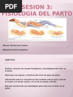 Atención Del Parto Limpio y Seguro | PDF | Parto | Embarazo humano