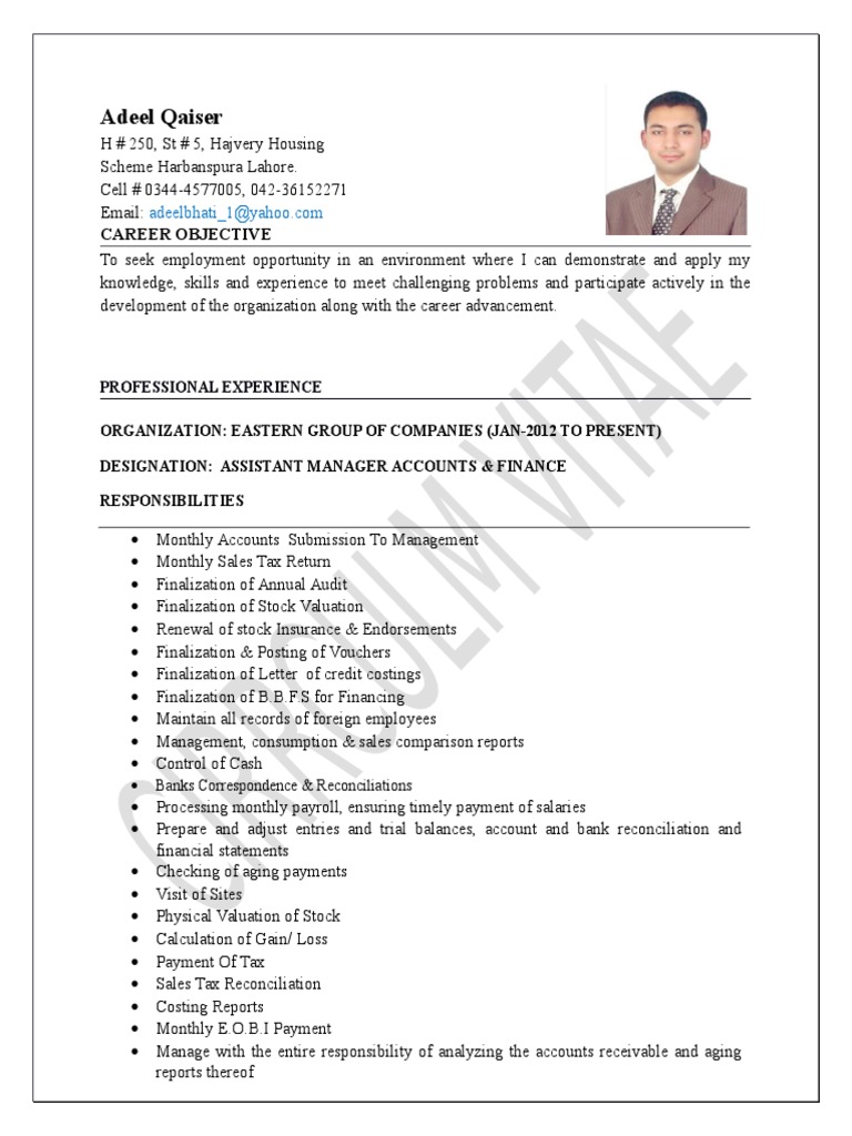 Adeel Qaiser: Career Objective | PDF | Economies | Business