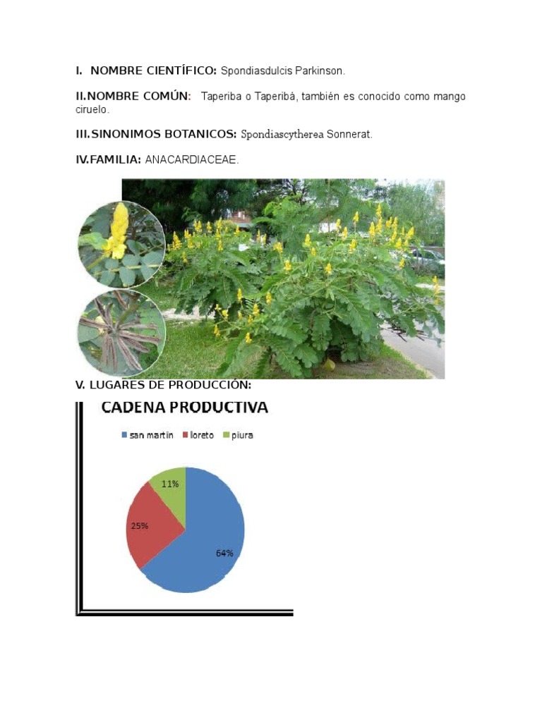 Características y Usos del Taperibá | PDF | Plantas | Horticultura y ...