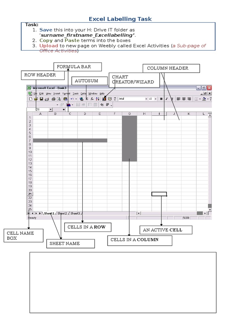 Excel Labelling Task Instructions | PDF