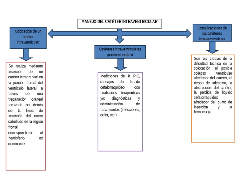 Manejo Del Catéter Intraventricular | PDF