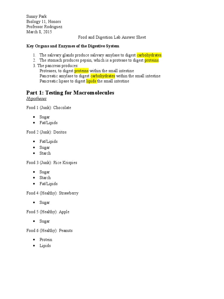 Food Digestion Lab Answer Sheet | PDF | Digestion | Carbohydrates