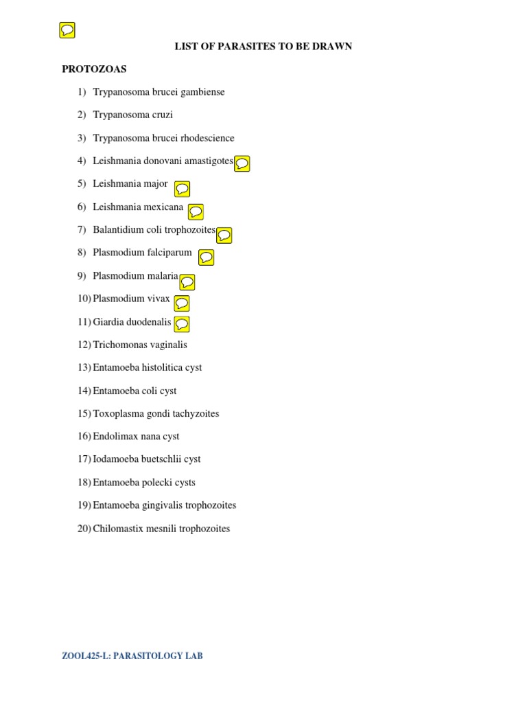 ZOOL425 List of Parasites LAB | PDF | Science & Mathematics