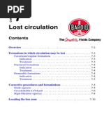 BARACARB | PDF | Chemistry | Nature