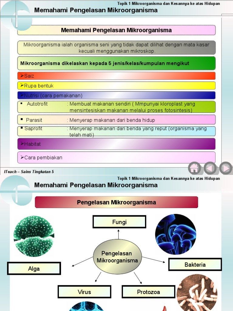 Chapter 1 Form 5 | PDF