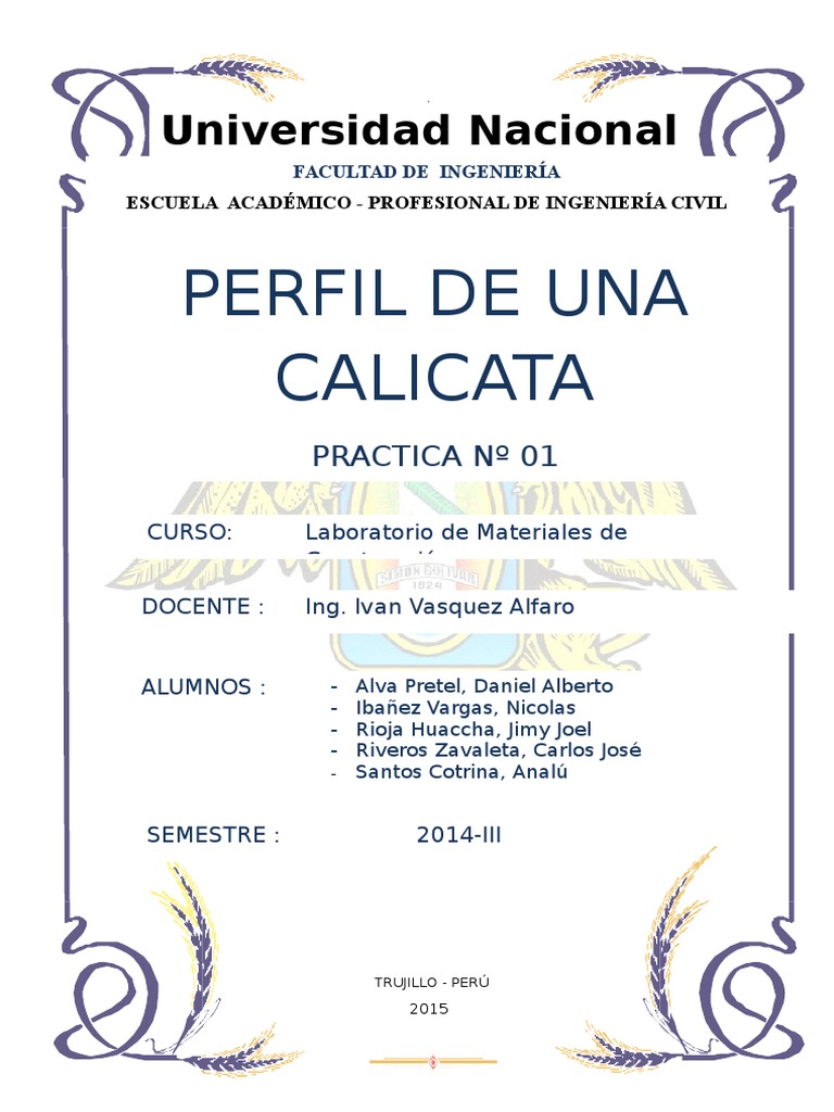 Perfil de Una Calicata | PDF | Suelo | Laboratorios