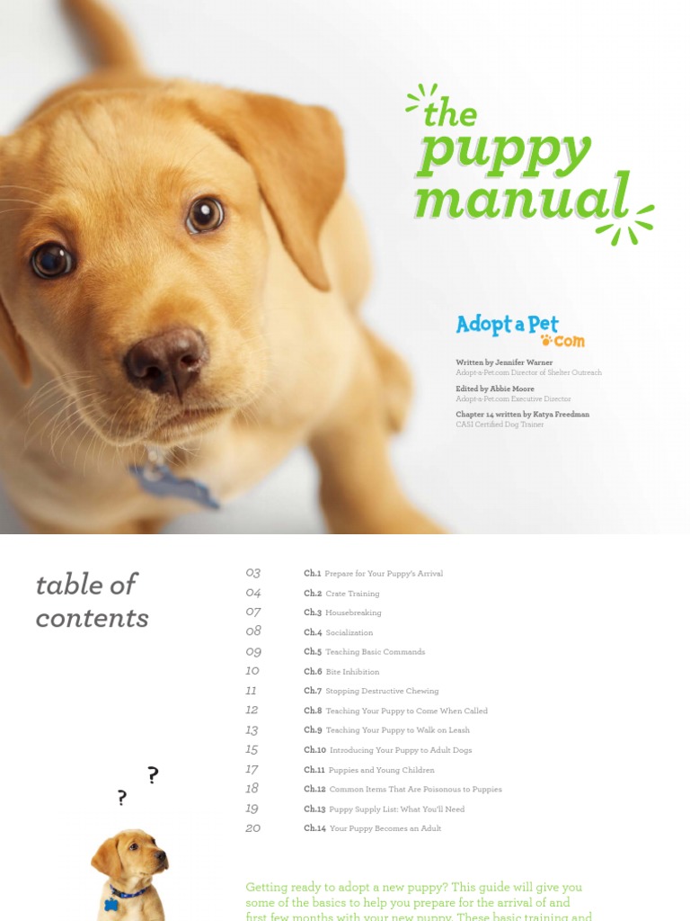Puppy Manual | PDF | Leash | Dogs