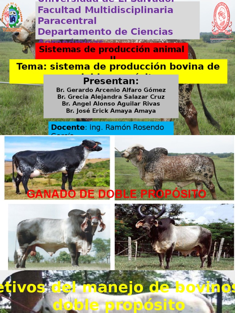 Ganado de Doble Proposito | Vacas | Proteínas