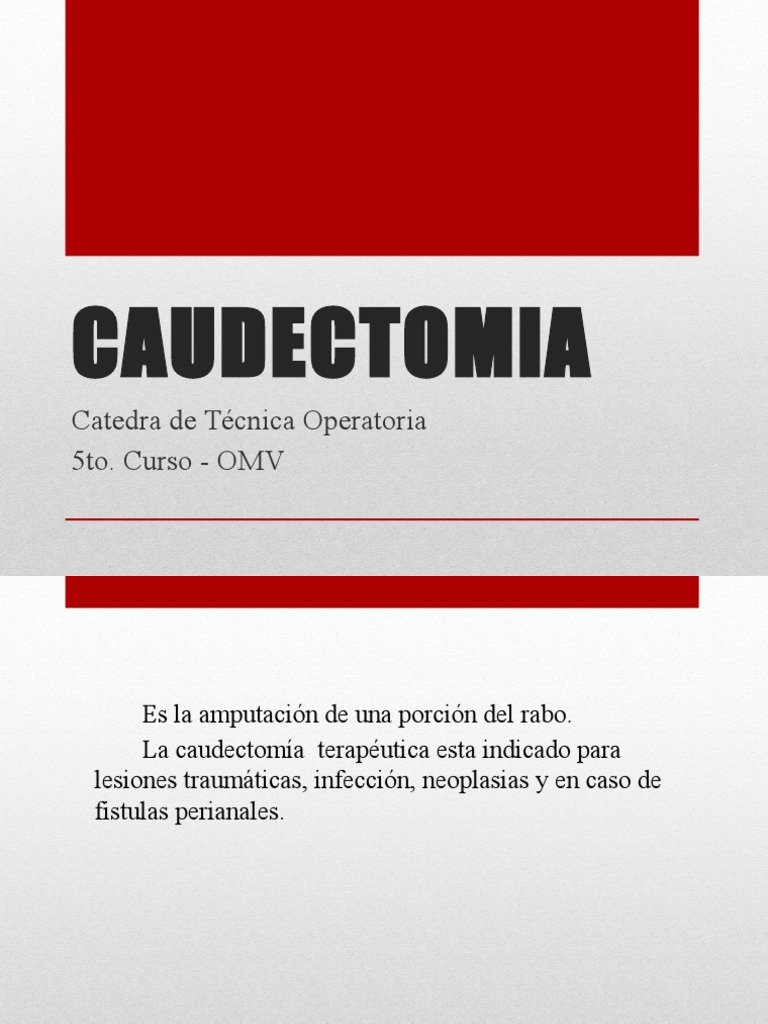 Caudectomia | PDF