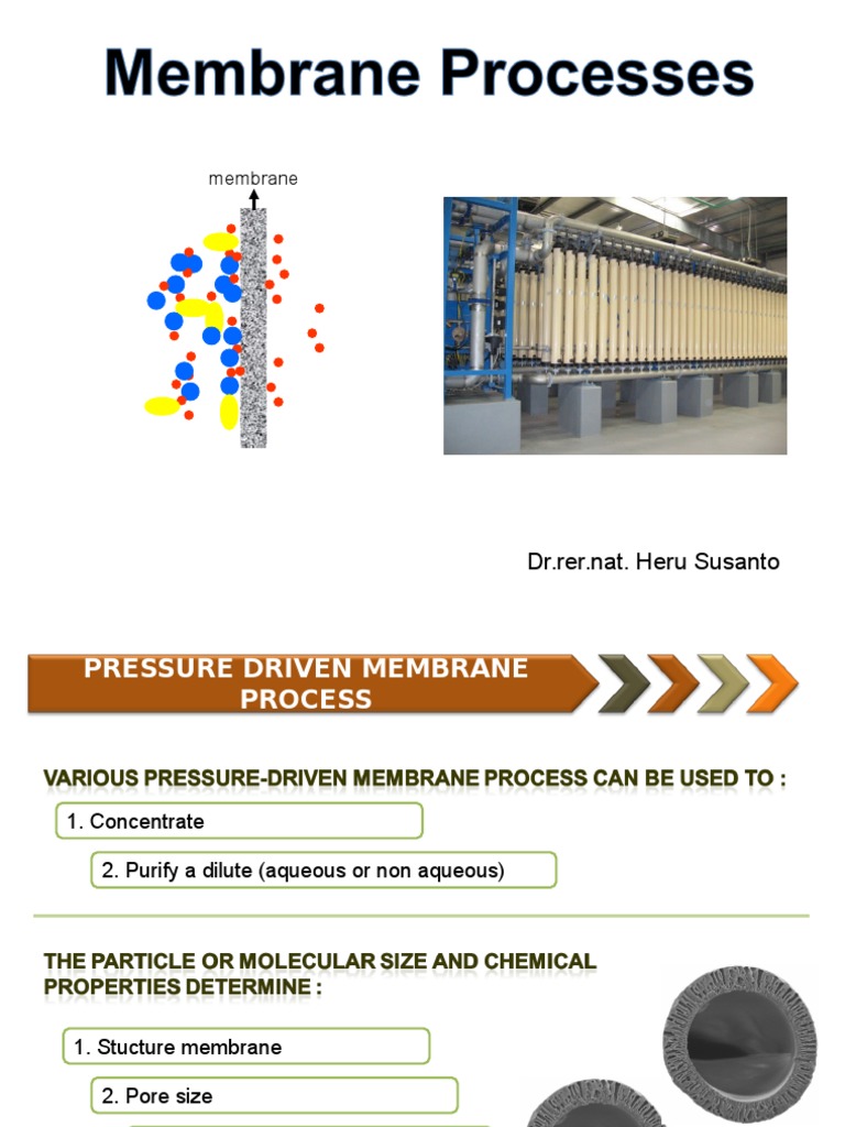 Membrane Processes | PDF | Osmosis | Membrane