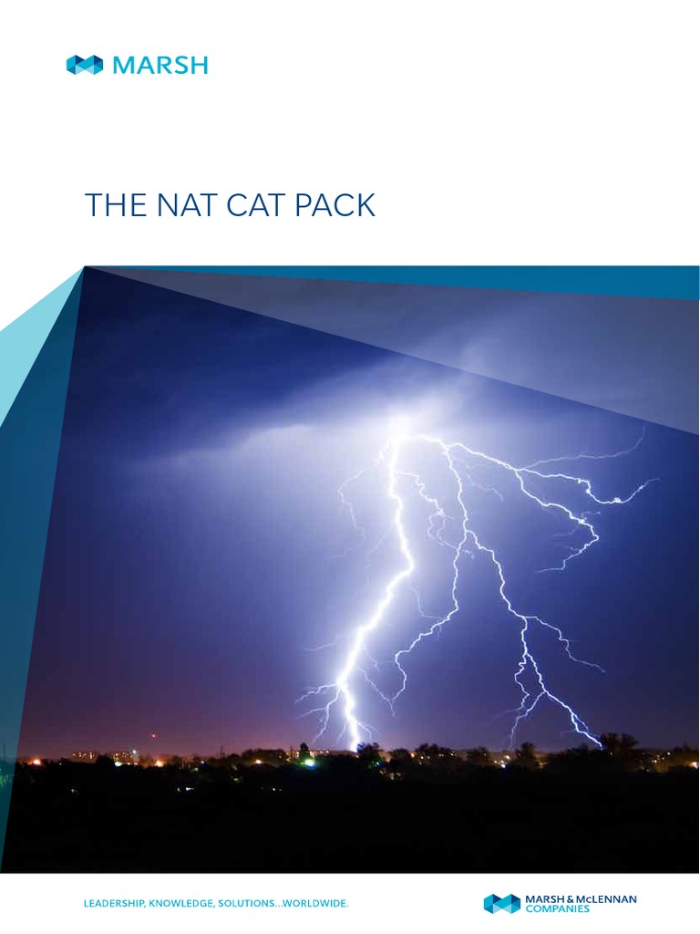 12-0268 Nat Cat Pack Full v5 | PDF | Risk | Risk Management