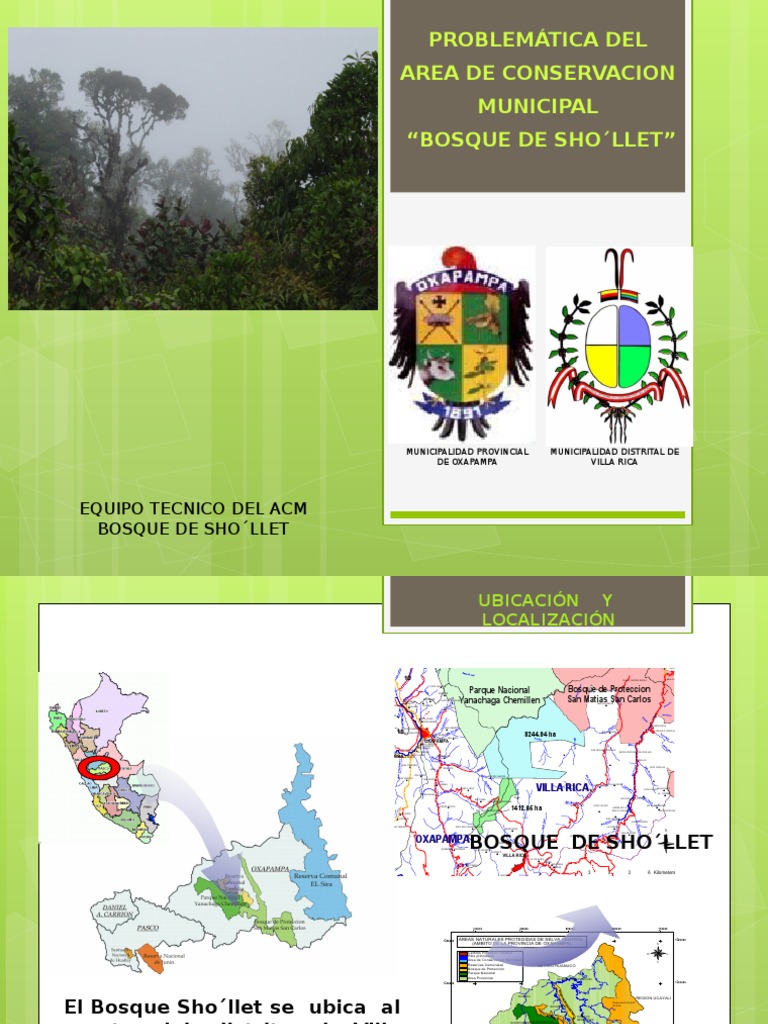 Problemática del Bosque de Sho'llet | PDF | Los bosques | Conservación