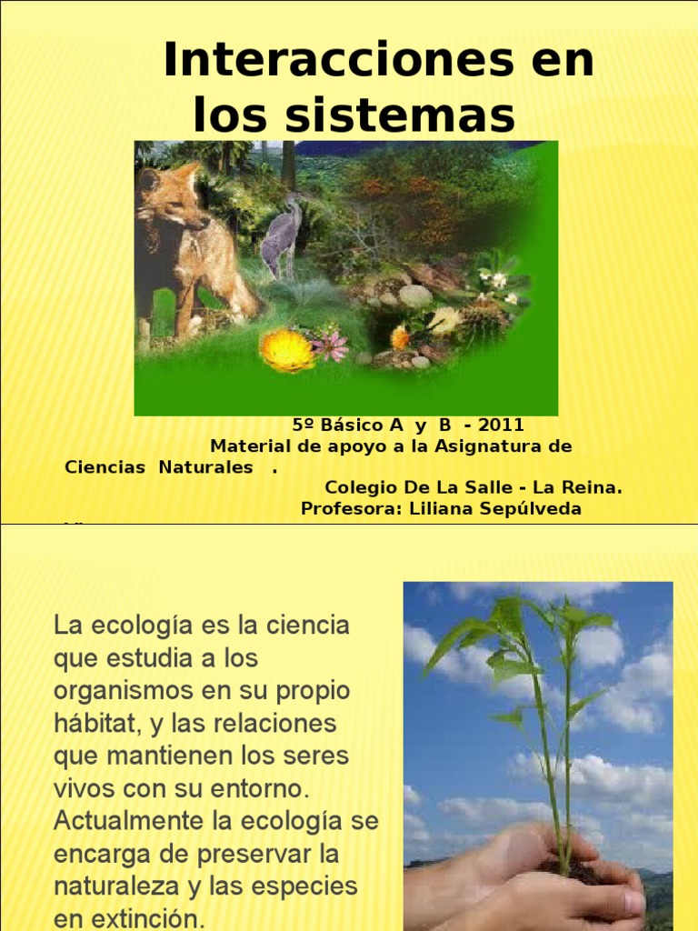 Interacciones en Los Ecosistemas | PDF | Ecosistema | Organismos