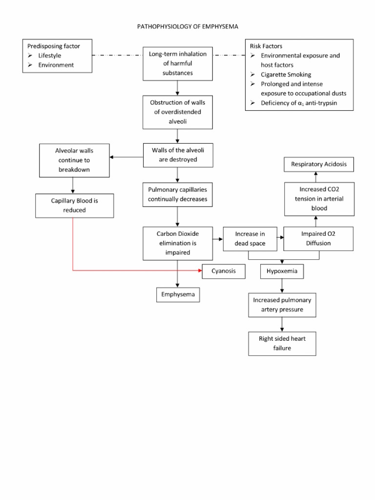 Pathophysiology of Emphysema | PDF