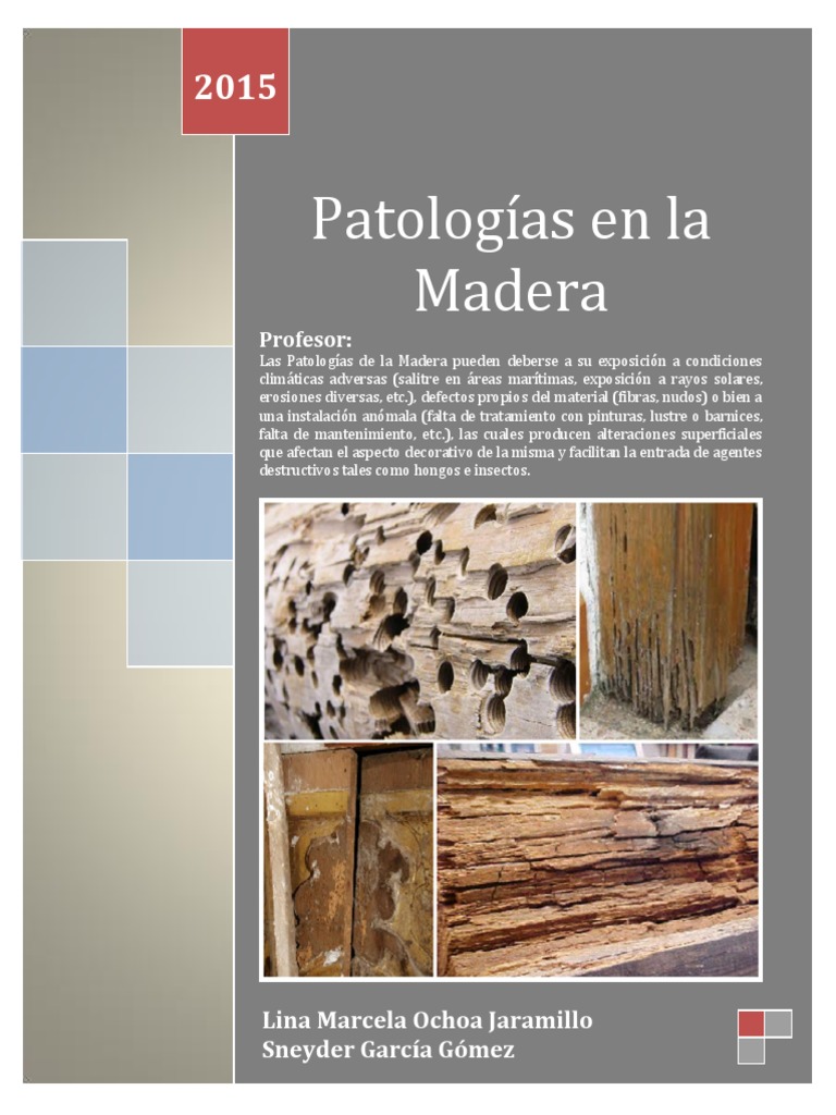 Patologia en la Madera.pdf | Water | Fungus