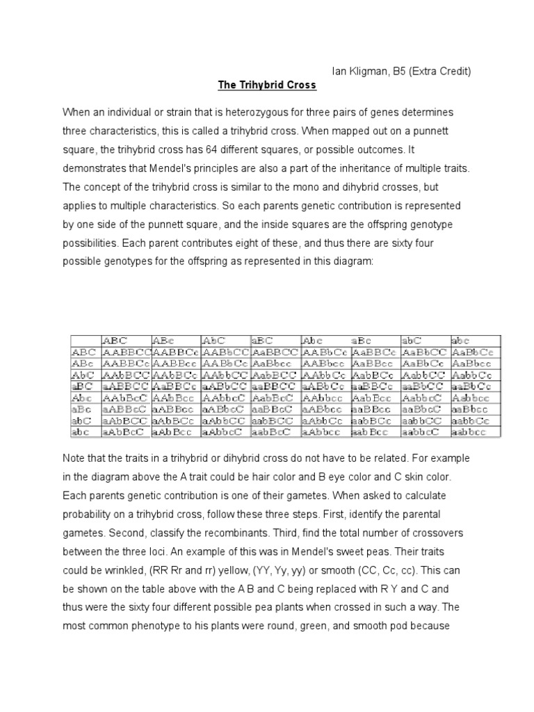 Understanding Trihybrid Crosses | PDF