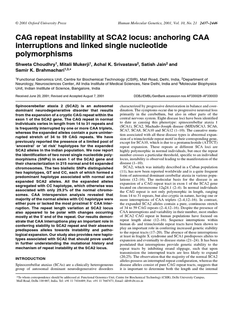 CAG Repeat Instability at SCA2 Locus - Anchoring CAA Interruptions and ...
