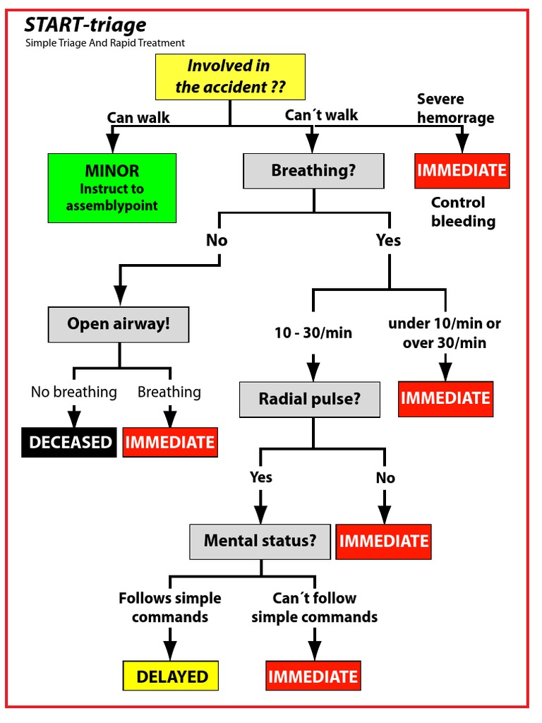 START Triage Flowchart Guide | PDF