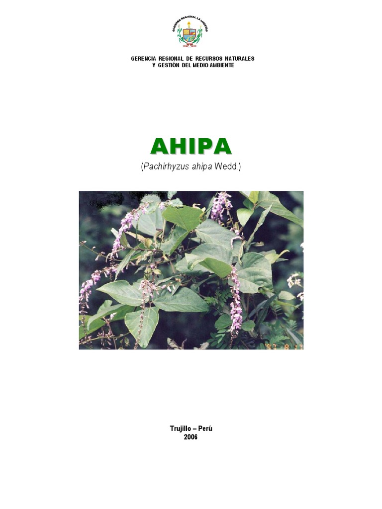 Beneficios y Cultivo de la Ajipa | PDF | Patata | Suelo