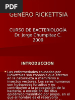 Proteus Ox-19 y Rickettsiosis | PDF | Organismos | Epidemiología