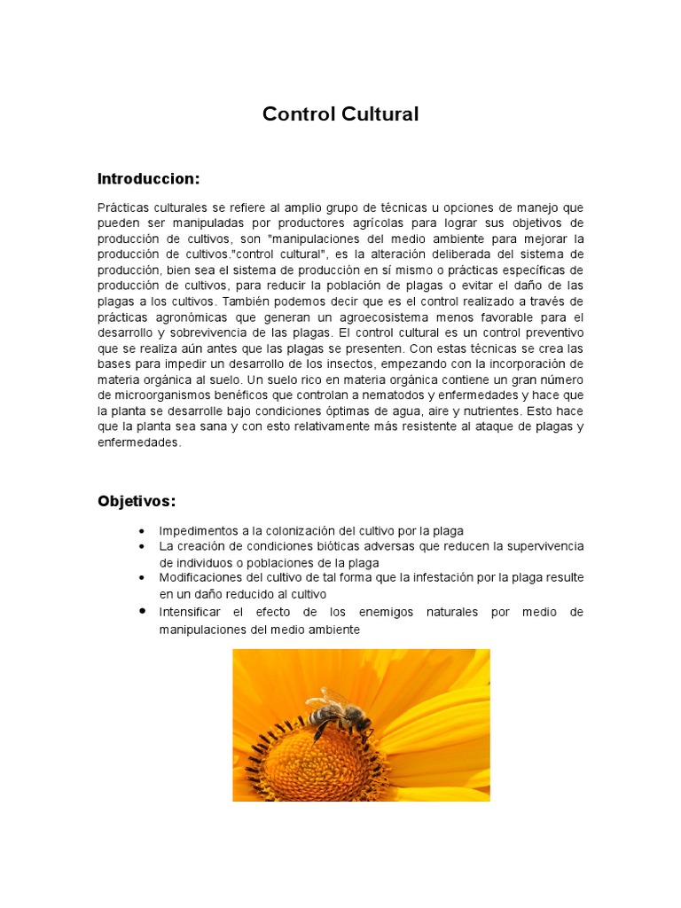Control Cultural | PDF | Plaga (organismo) | Siembra