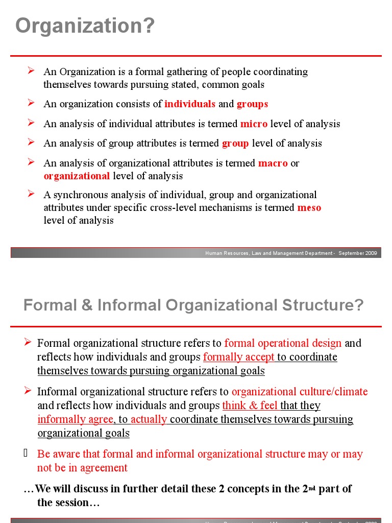 Organization?: Individuals Groups Micro Group Macro Organizational Meso ...