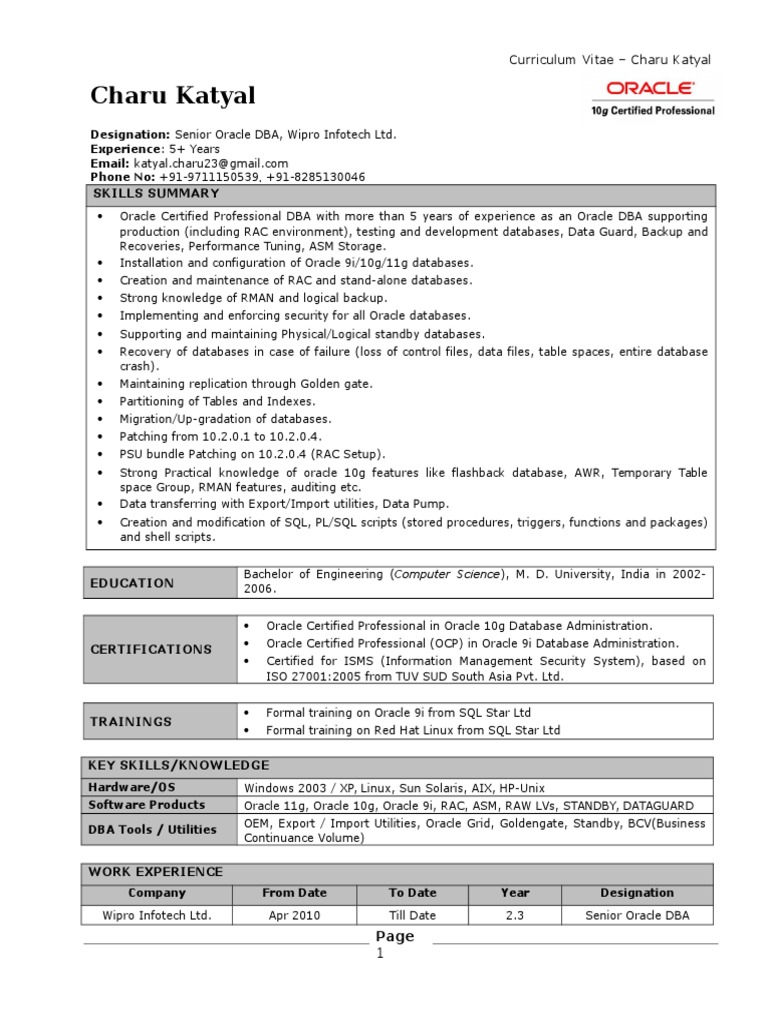 CV Sample Free | PDF | Oracle Database | Databases