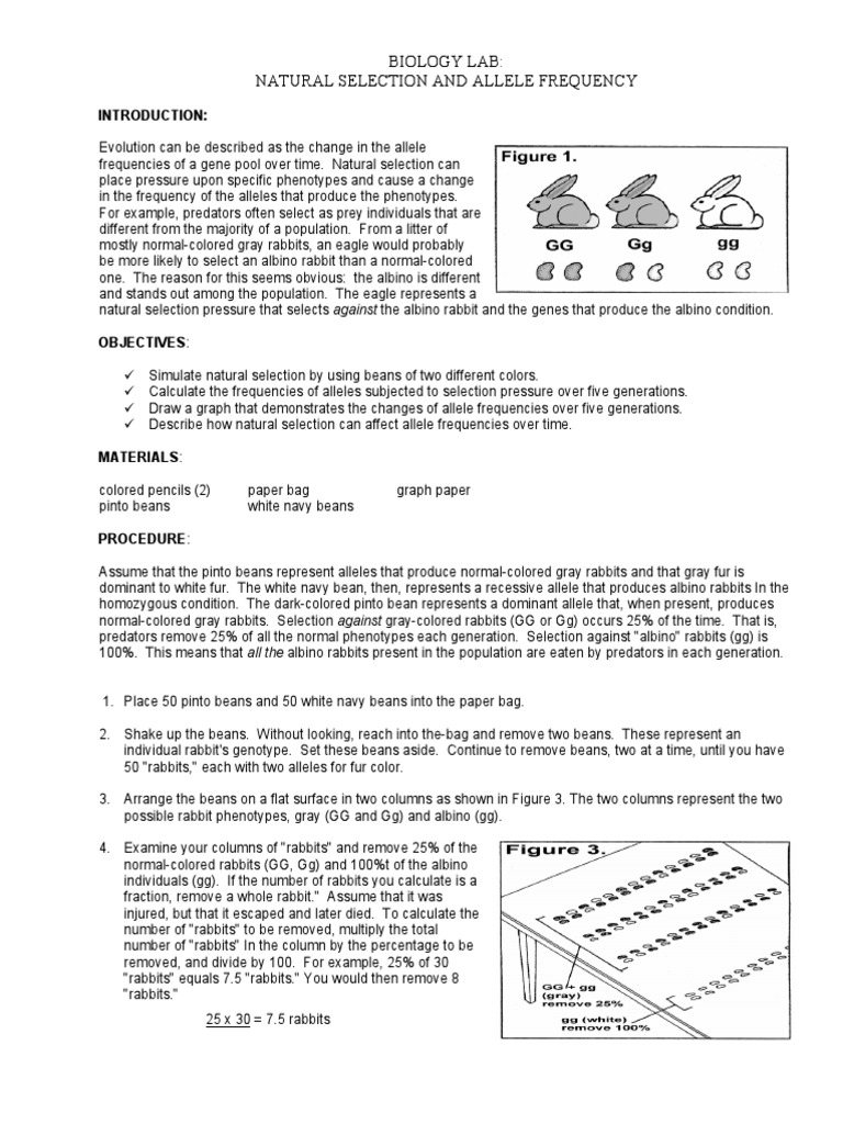 Biology Lab: Natural Selection and Allele Frequency | PDF | Natural ...
