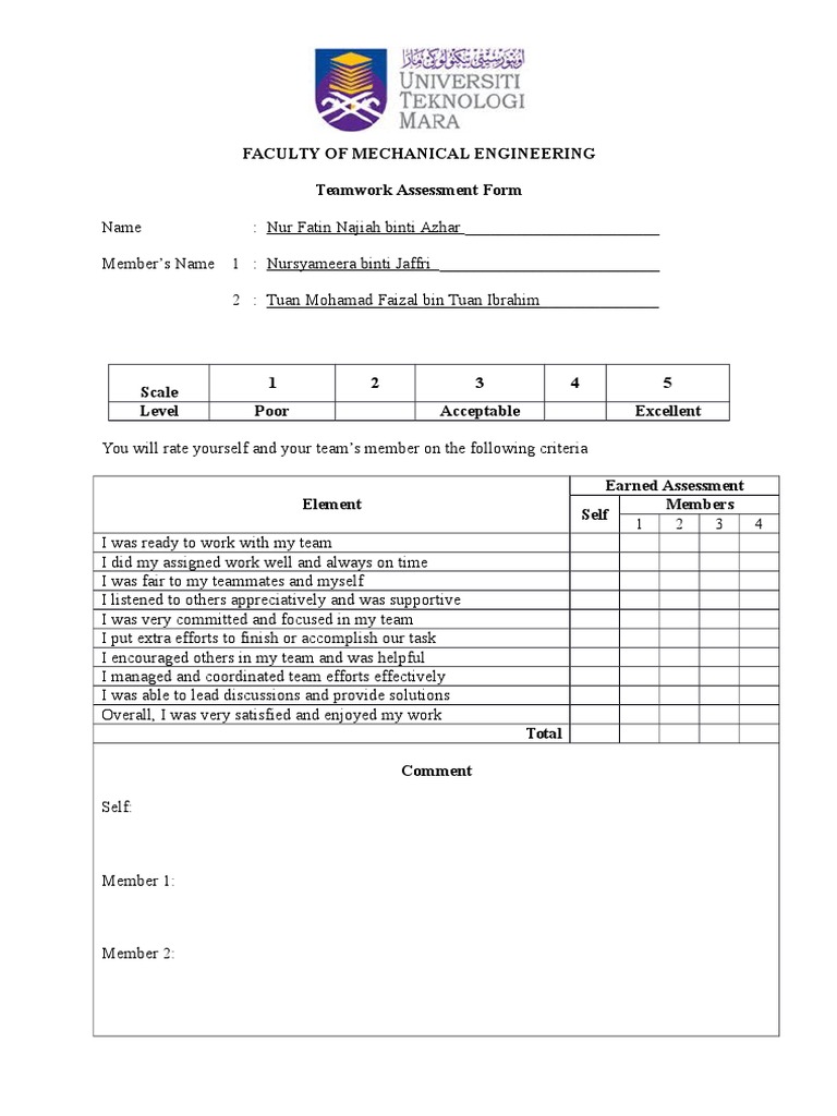 Team Work Assessment Form-2 | PDF | Behavioural Sciences | Cognition
