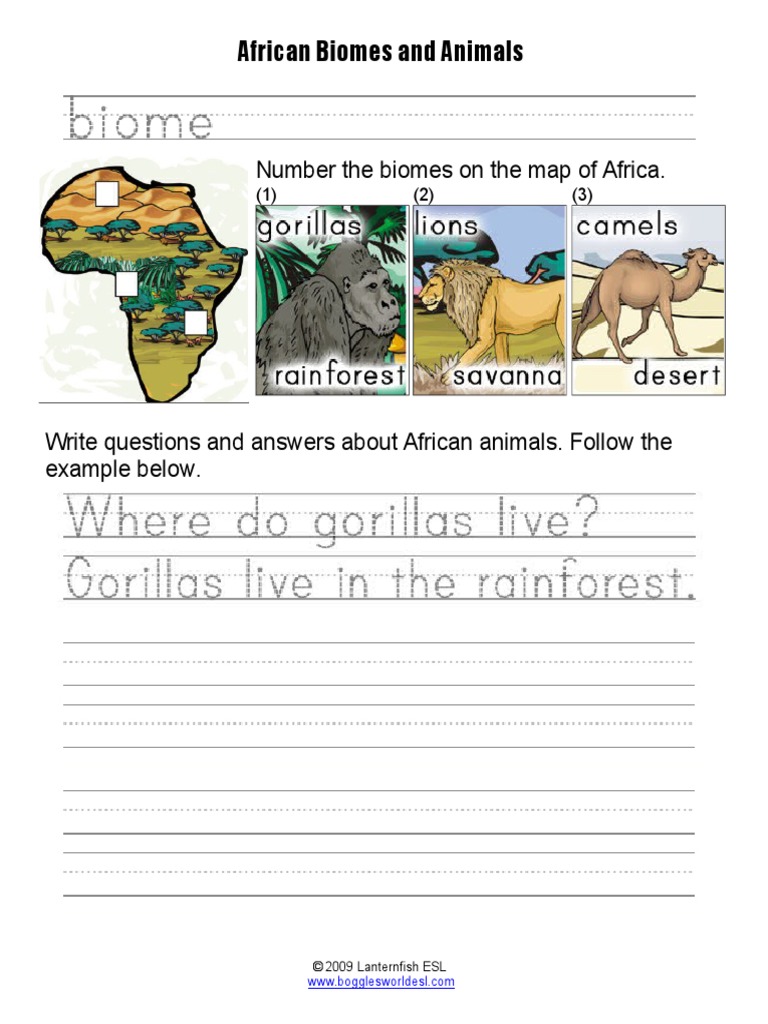 African Biomes and Animals Overview | PDF