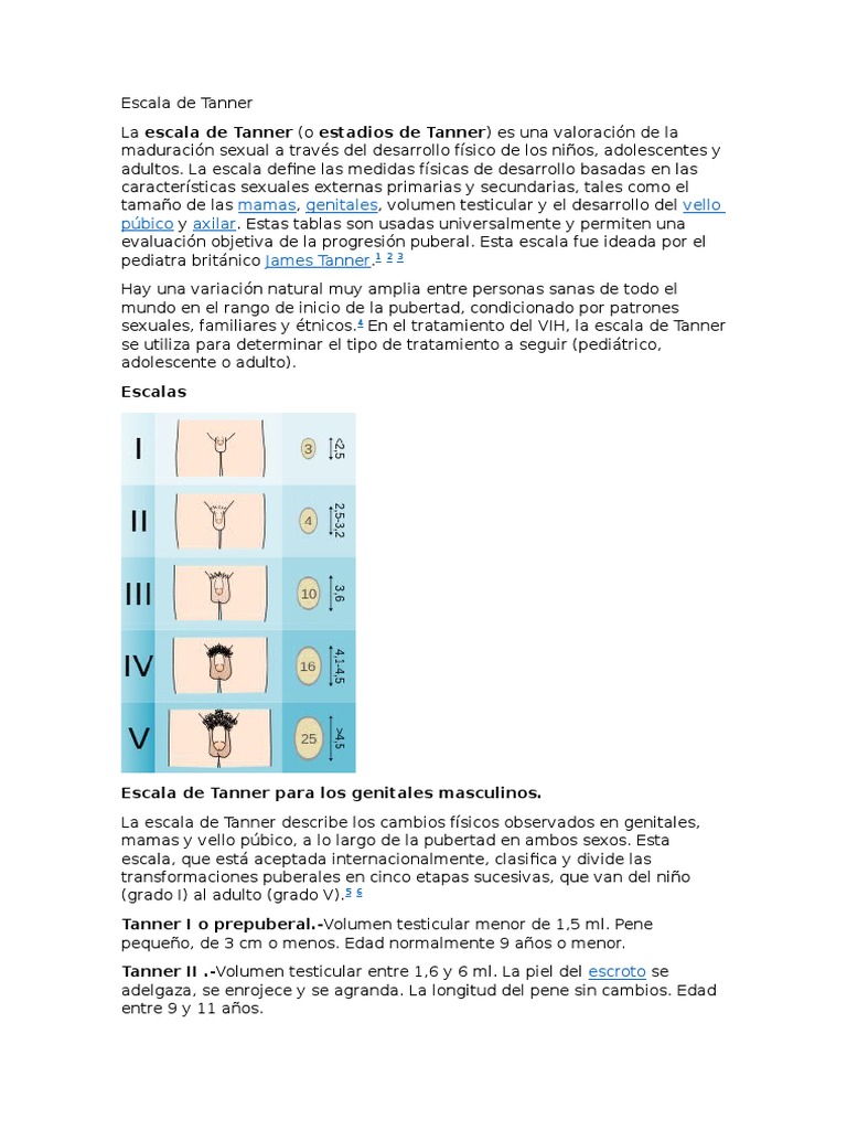 Escala de Tanner | Pecho | Pubertad