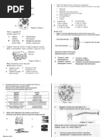 Bio f4 Answer | PDF