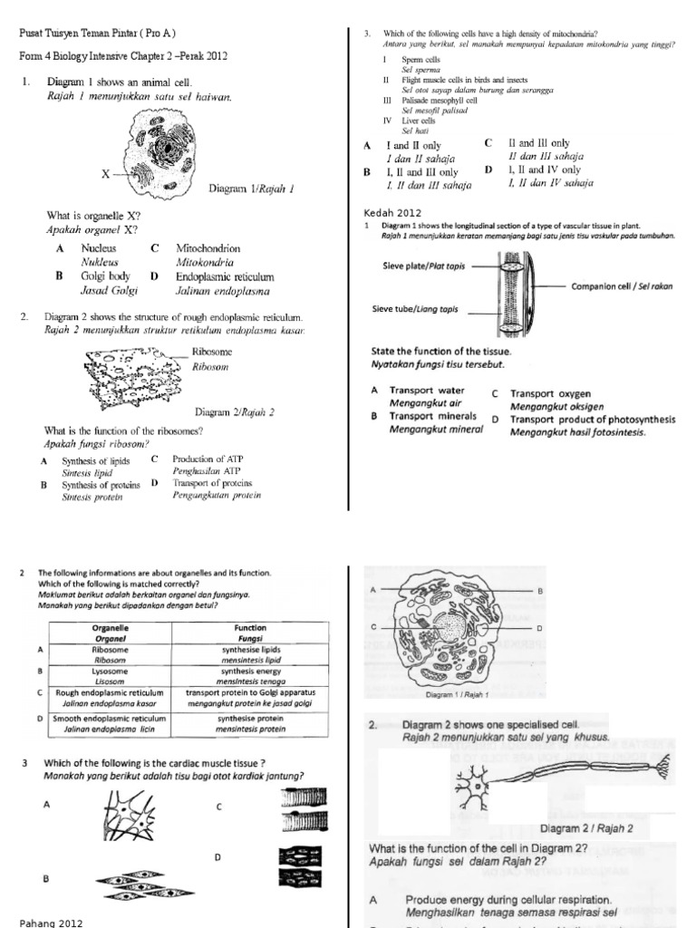Biology Form 4 Chapter 2 Past Year Objective | PDF