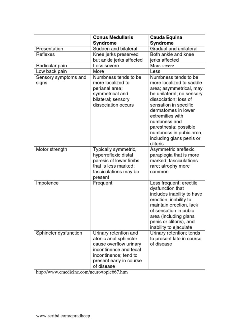 Conus Medullaris Vs Cauda Equina Syndrome | PDF | Paresthesia | Neurology