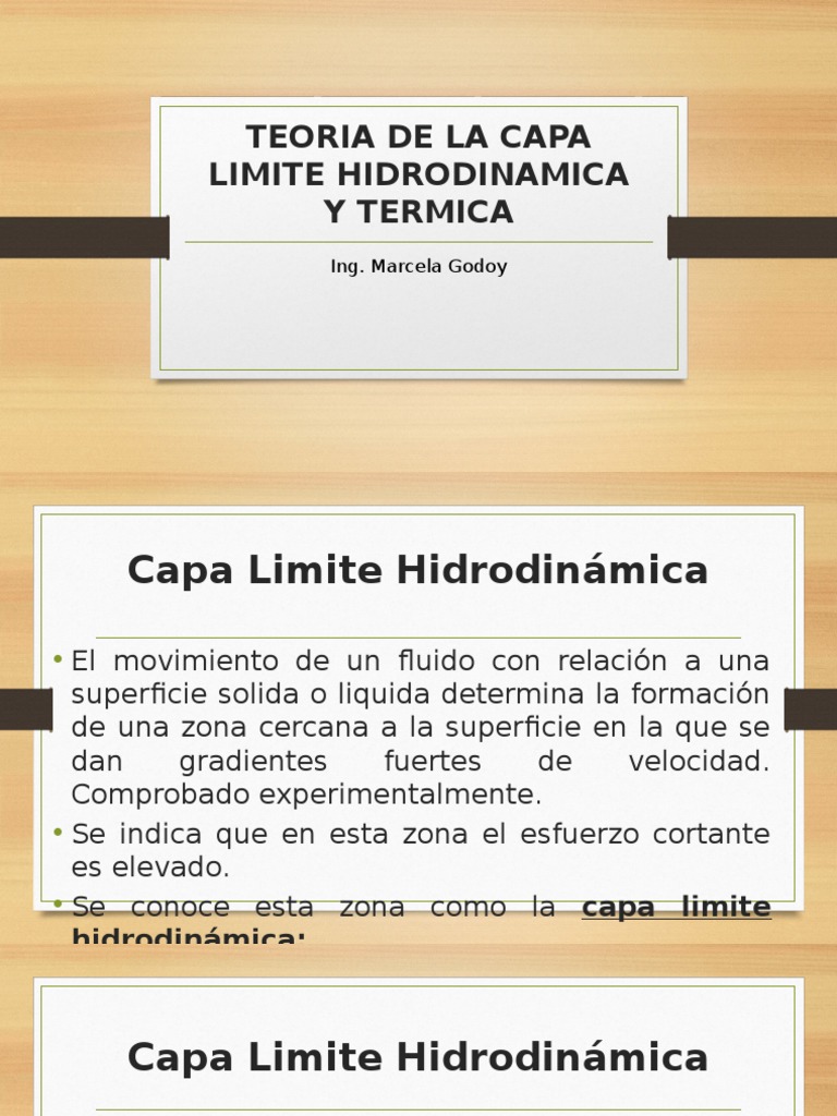 Teoria de La Capa Limite Hidrodinamica y Termica | PDF | Capa límite ...