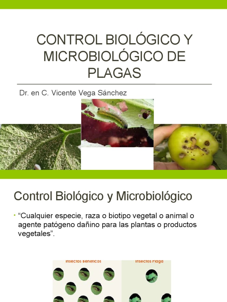 Control Biológico Y Microbiológico De Plagas Pdf Insectos