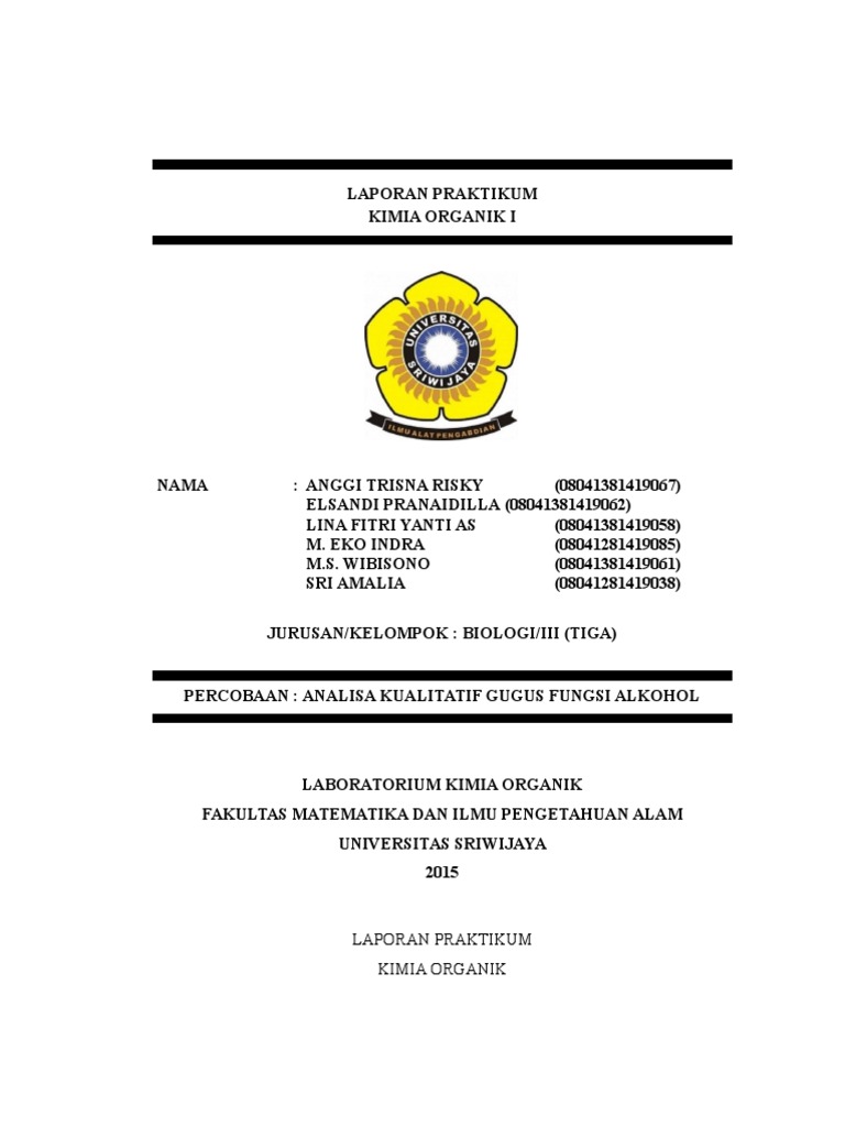 Analisis Gugus Fungsi Alkohol | PDF