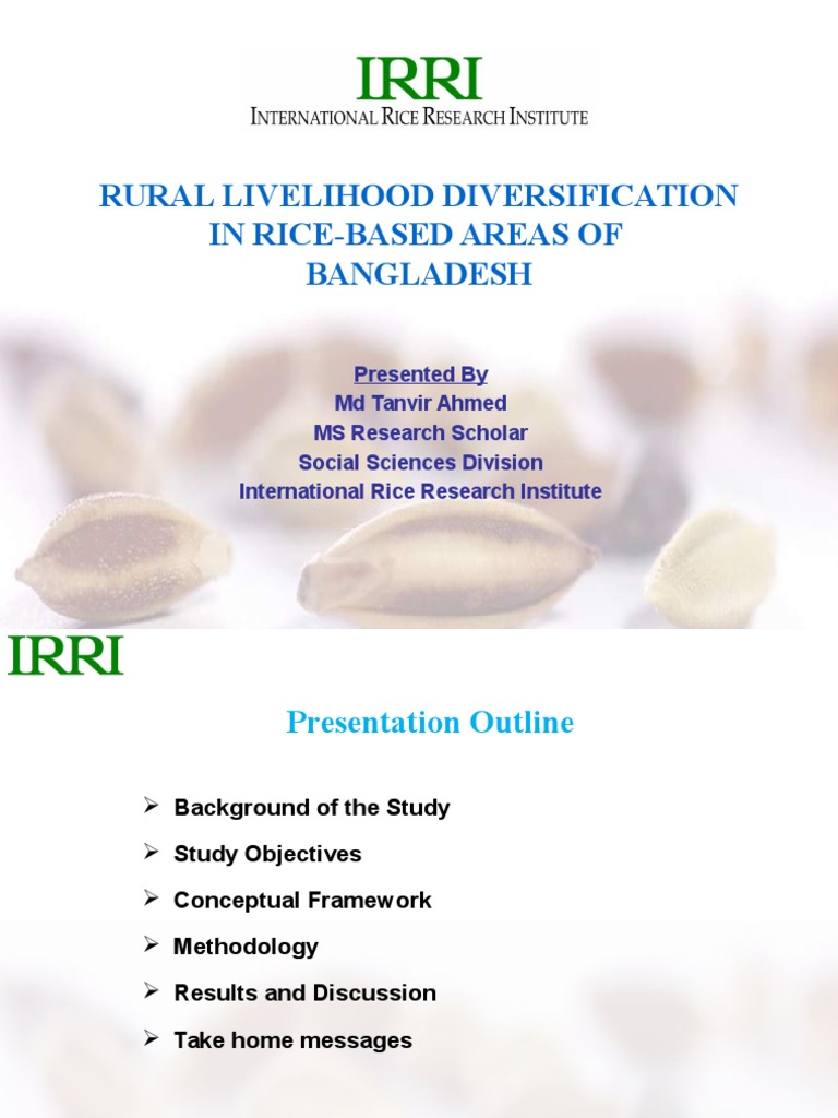 Rural Livelihood Diversification in Rice-Based Areas of Bangladesh ...