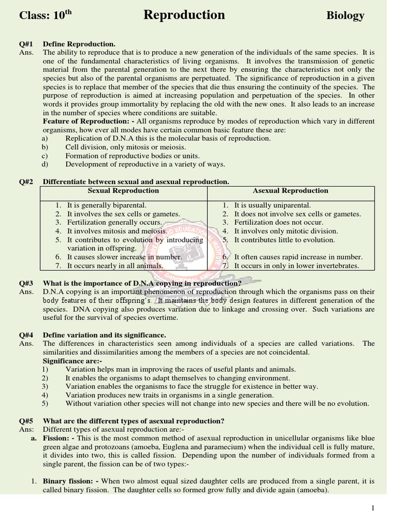 Class: 10 Biology | PDF | Menstrual Cycle | Sexual Reproduction