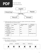 Science Form 3 Textbook Answers | PDF | Respiratory System | Heart