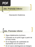 Teoría Diente 15 (Segundo Premolar Superior) | PDF | Ramas de ...