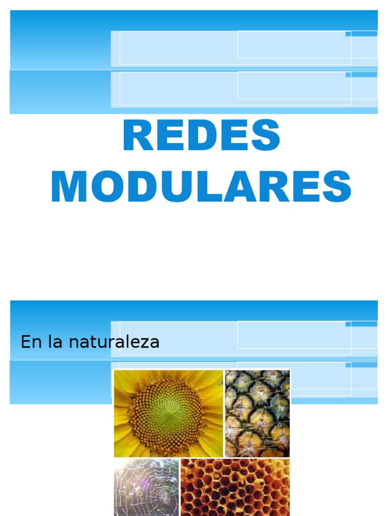 Redes Modulares | PDF