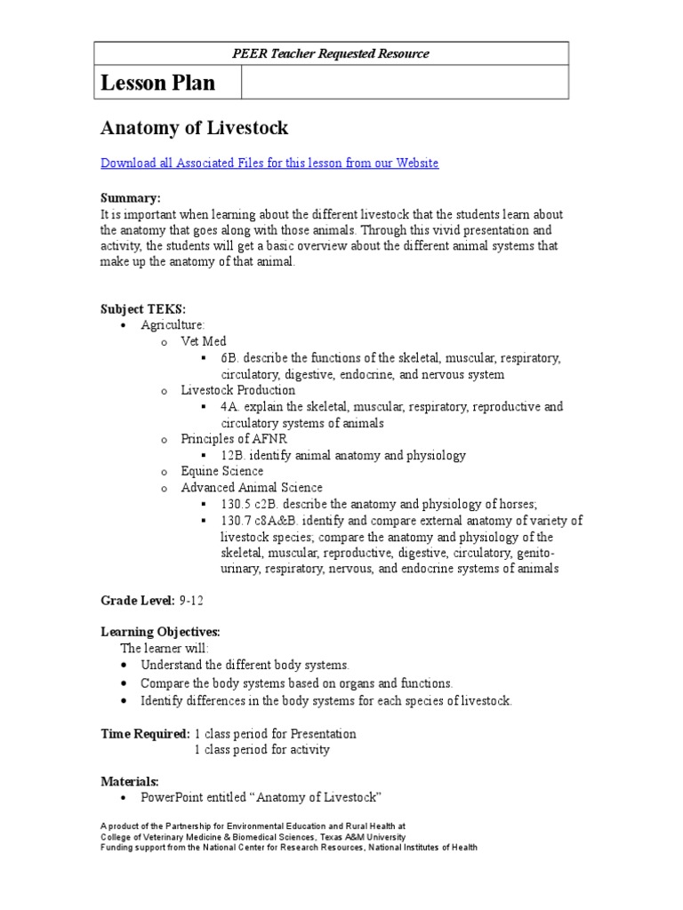 Anatomy of Livestock Lesson Plan | PDF | Blood | Gastrointestinal Tract