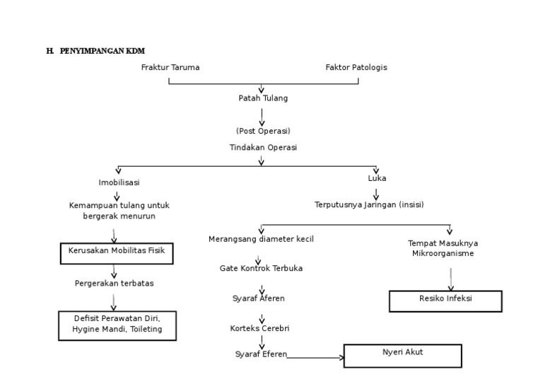 Pathway FRAKTUR | PDF
