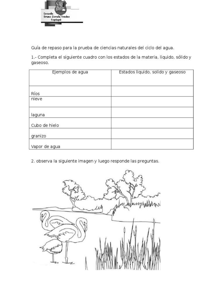 Guía de Repaso para La Prueba de Ciencias Naturales Del Ciclo Del Agua ...
