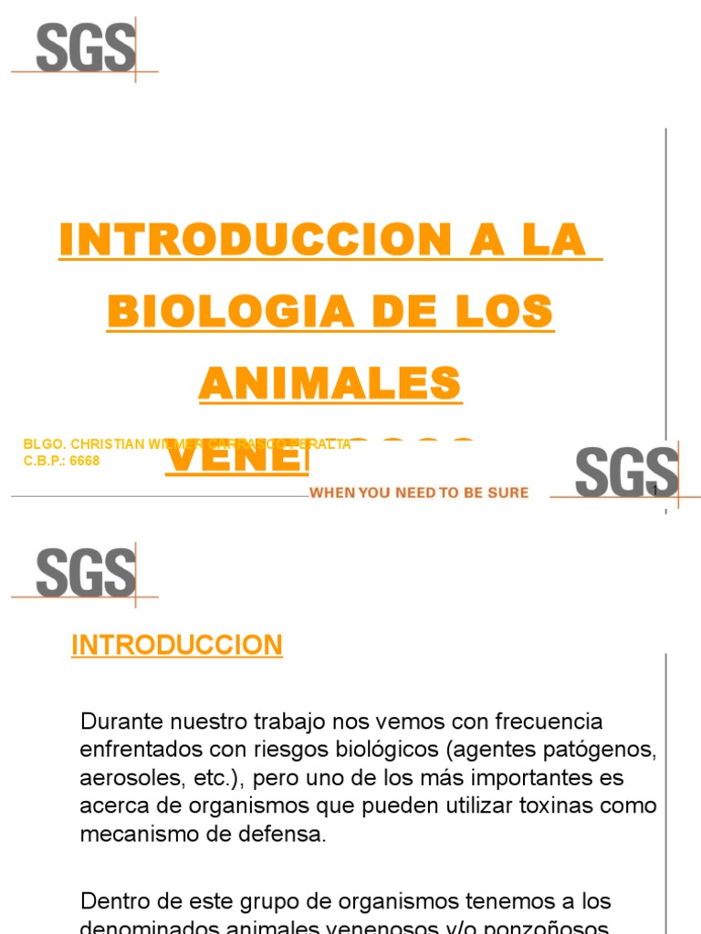 Animales Venenosos | PDF | Araña | Avispa