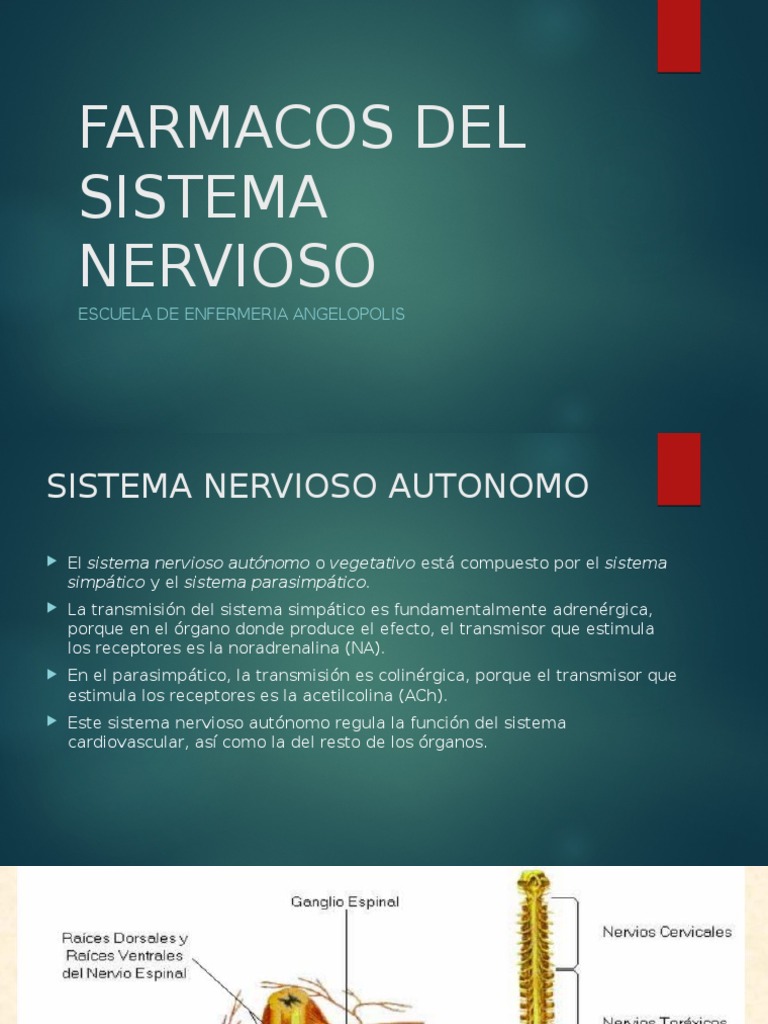Farmacos Del Sistema Nervioso | PDF | Sistema nervioso autónomo | Anestesia