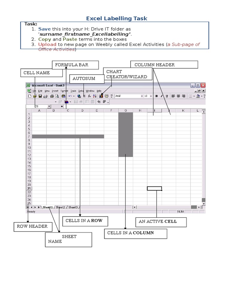 Excellabelling Lara Agnew | PDF