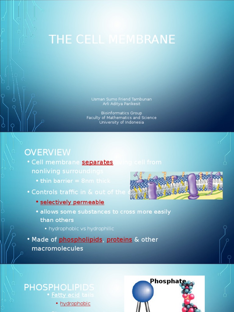 2.cell Membrane | PDF | Cell Membrane | Osmosis