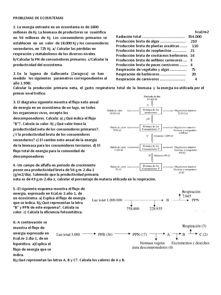 Flujo de Energía en Ecosistemas | PDF